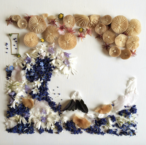 Flora Forager’s Fresh Flowers: Fantastic and Iconic Images | Alberti’s ...